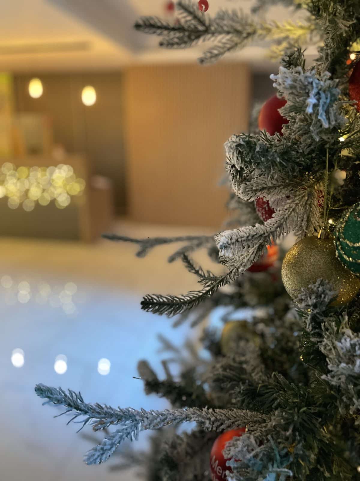 Offers - Athens Panorama Project